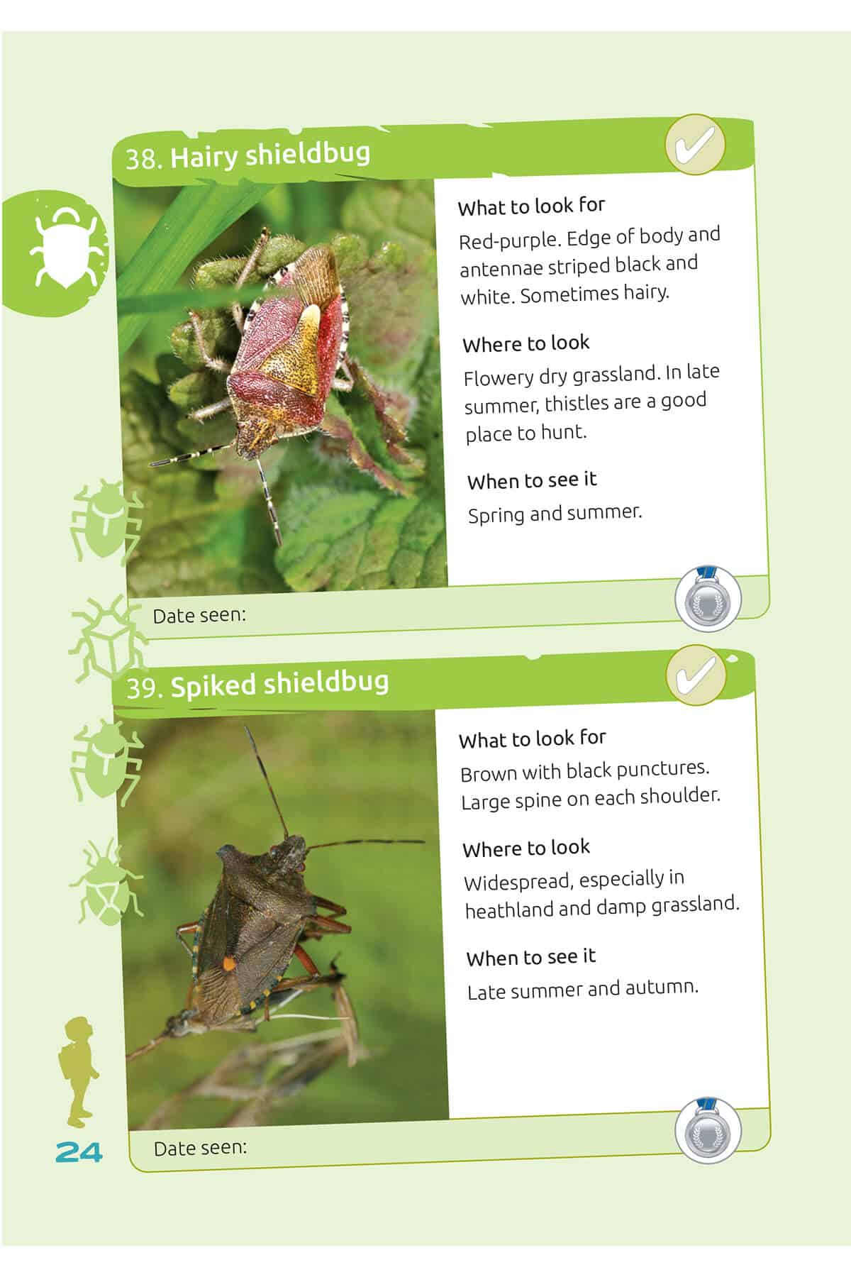 Nature spotters in trees and woodland – Field Studies Council