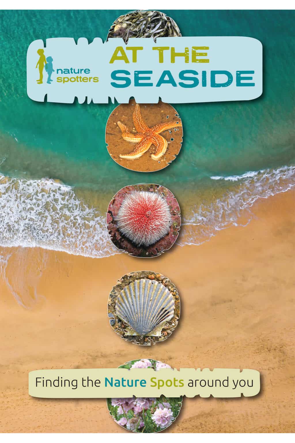 Seashells guide – Field Studies Council
