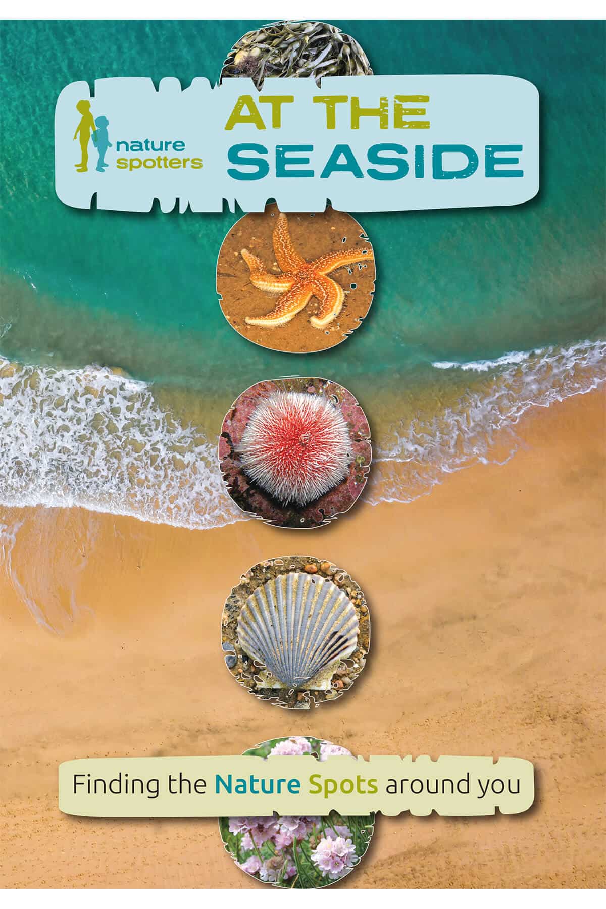 Seashells guide – Field Studies Council