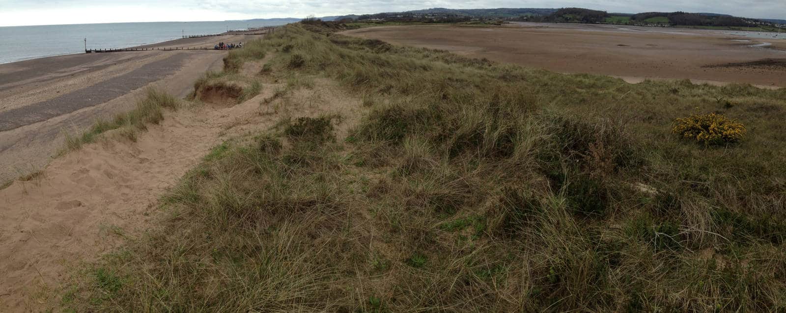 Low Energy Coasts – Field Studies Council