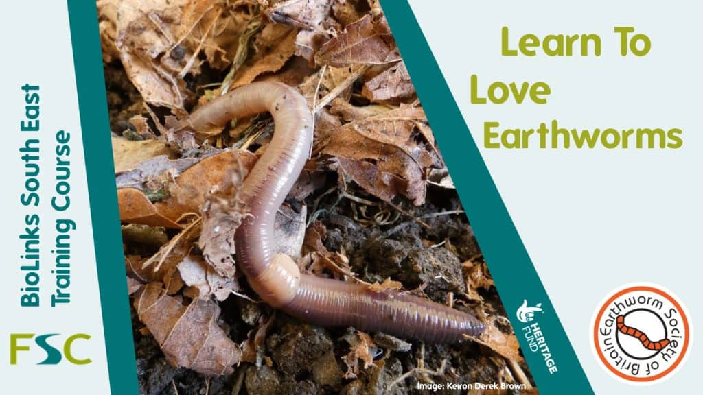 Learn to Love Earthworms – Field Studies Council