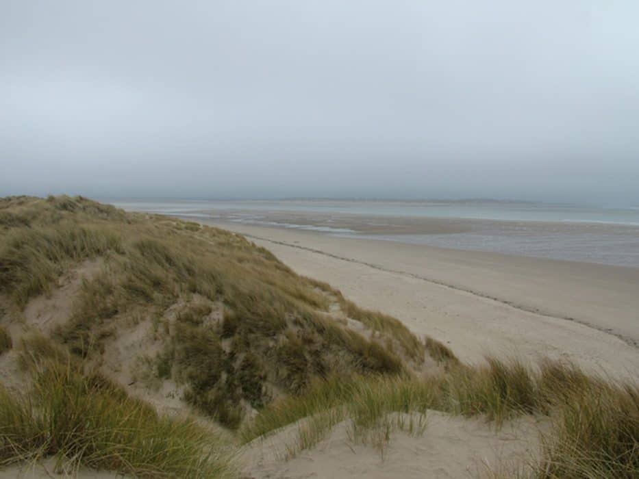 Sand Dune Succession – Field Studies Council