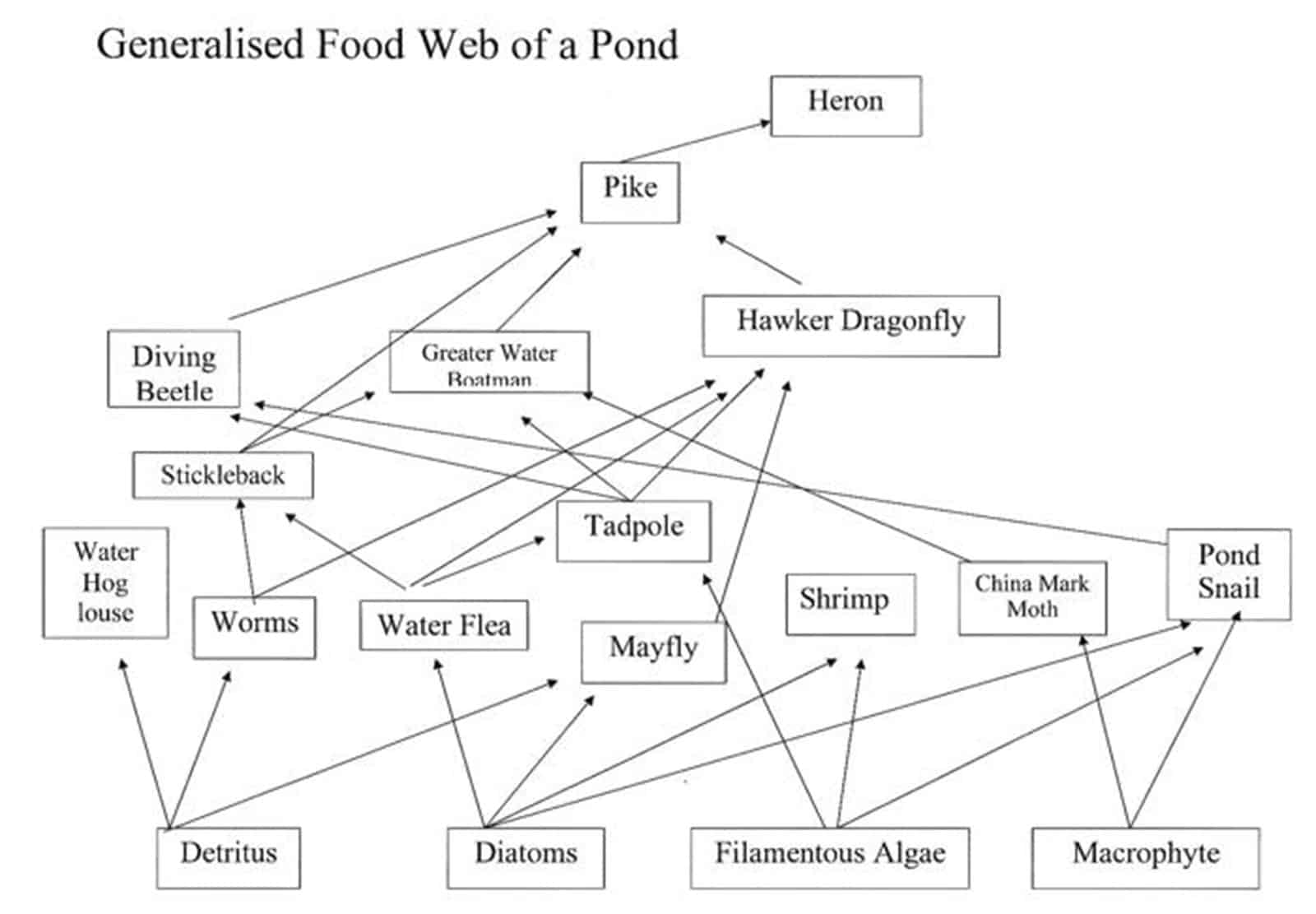 Freshwater Energetics – Field Studies Council