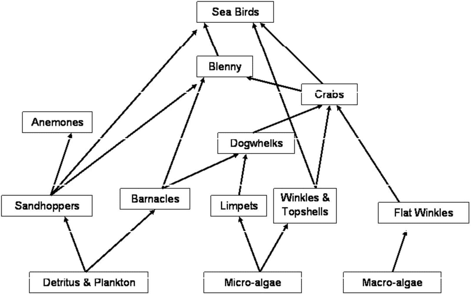 Marine Energetics – Field Studies Council