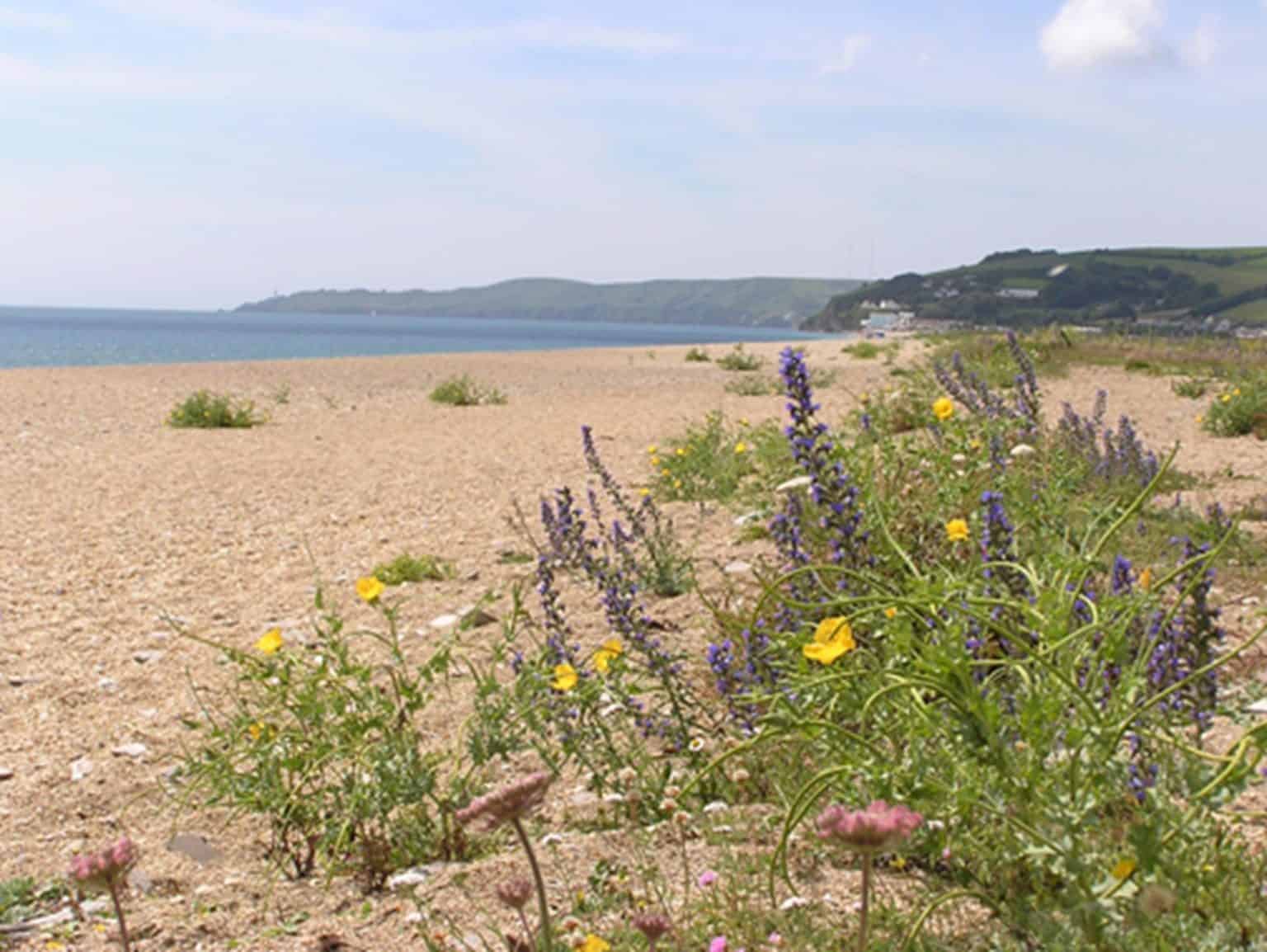 Slapton Ley – Field Studies Council