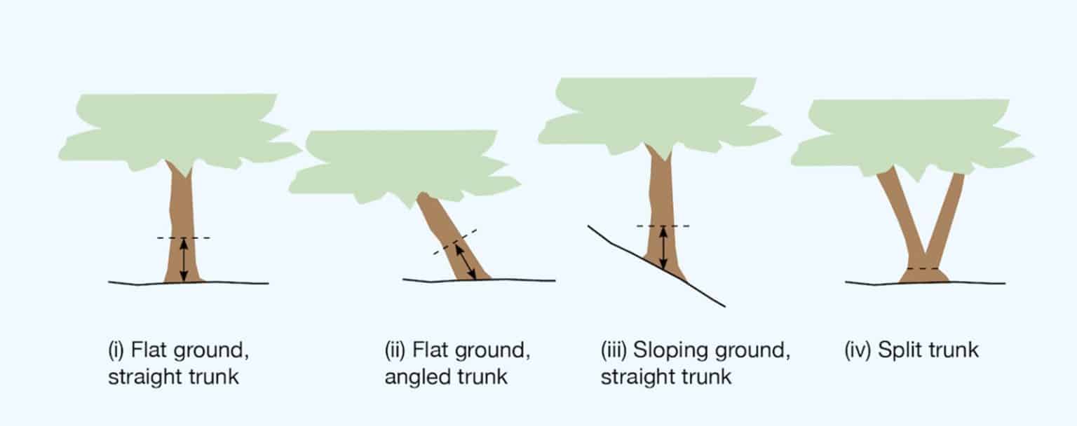 Method for Carbon Cycle – Field Studies Council
