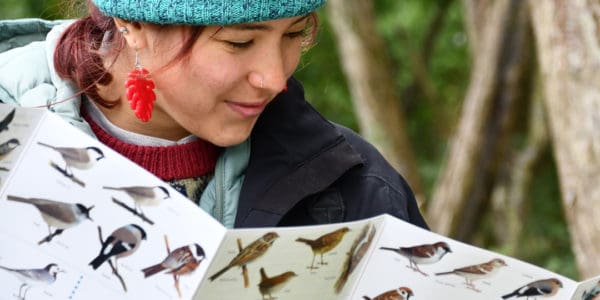 Wildlife Courses and Wild ID Guides – Field Studies Council
