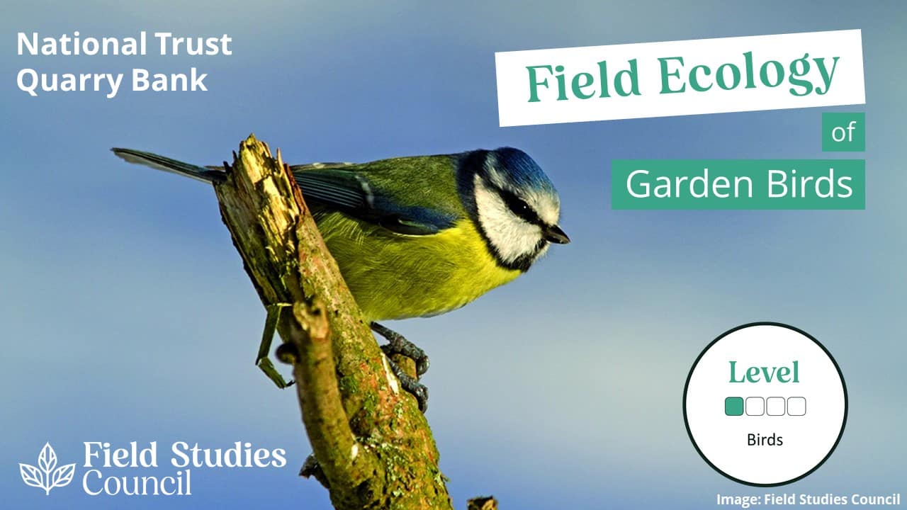 Fully Booked - Field Ecology of Garden Birds in Manchester – Field ...