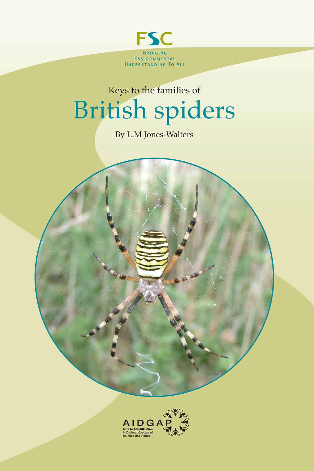 Spiders AIDGAP | Paperback Identification Key |Field Studies Council
