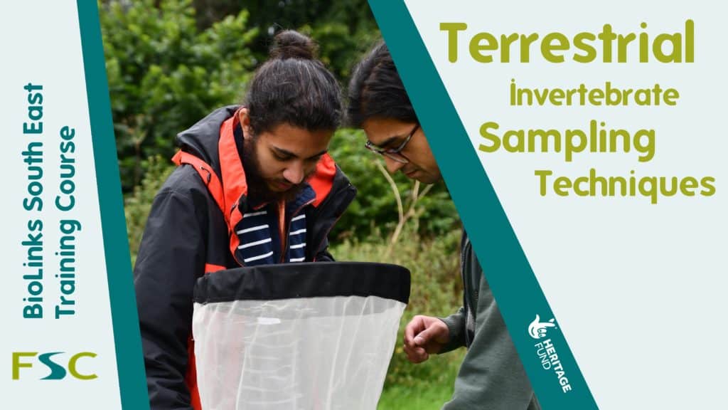 Terrestrial Invertebrate Sampling Techniques – Field Studies Council