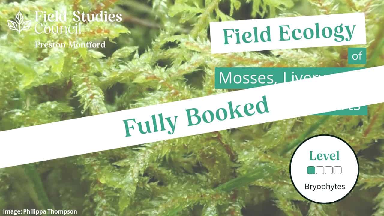 Fully Booked - Field Ecology of Mosses, Liverworts and Hornworts ...