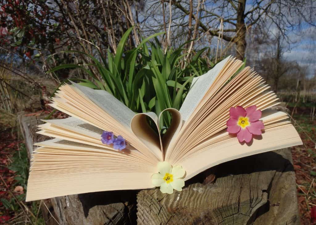 Enhance Your Nature Writing: Exploration and Analysis - Online – Field ...