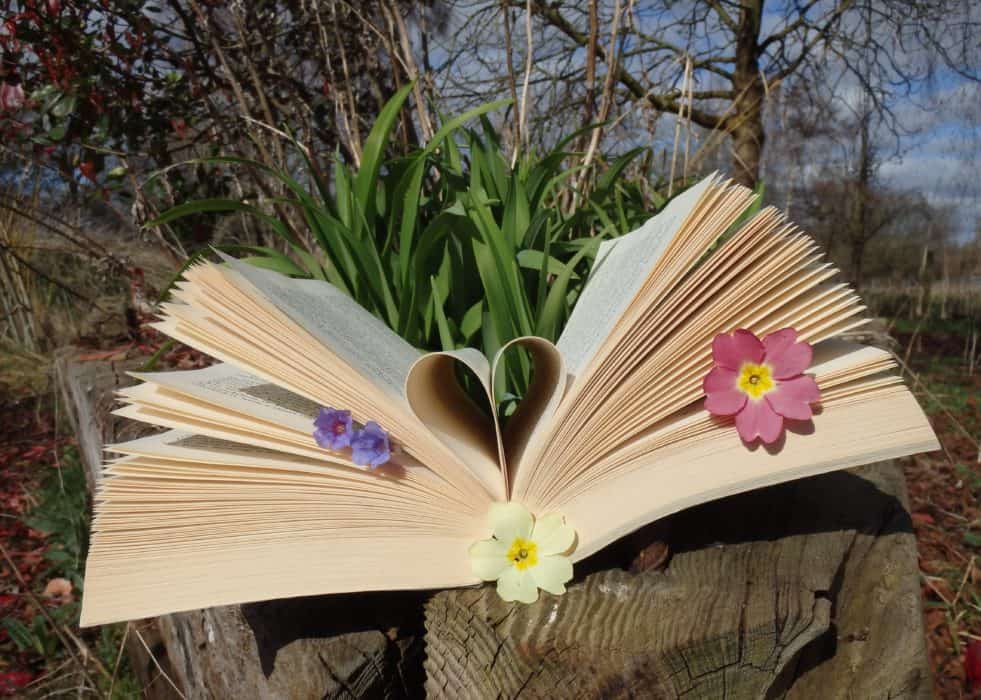 Enhance Your Nature Writing: Exploration and Analysis - Online – Field ...