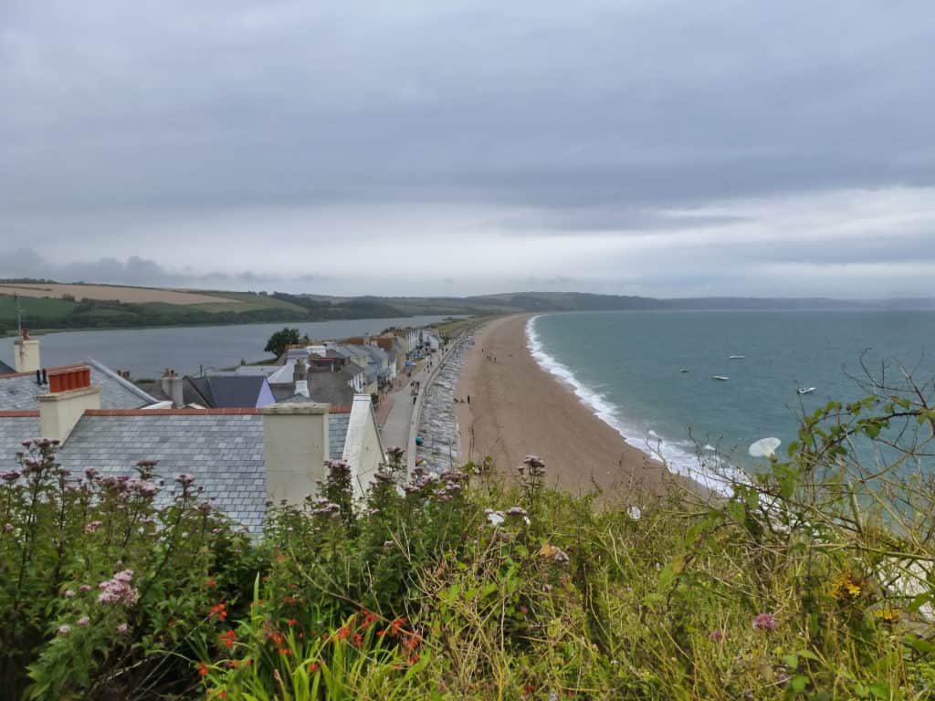 What's On at Slapton Ley – Field Studies Council
