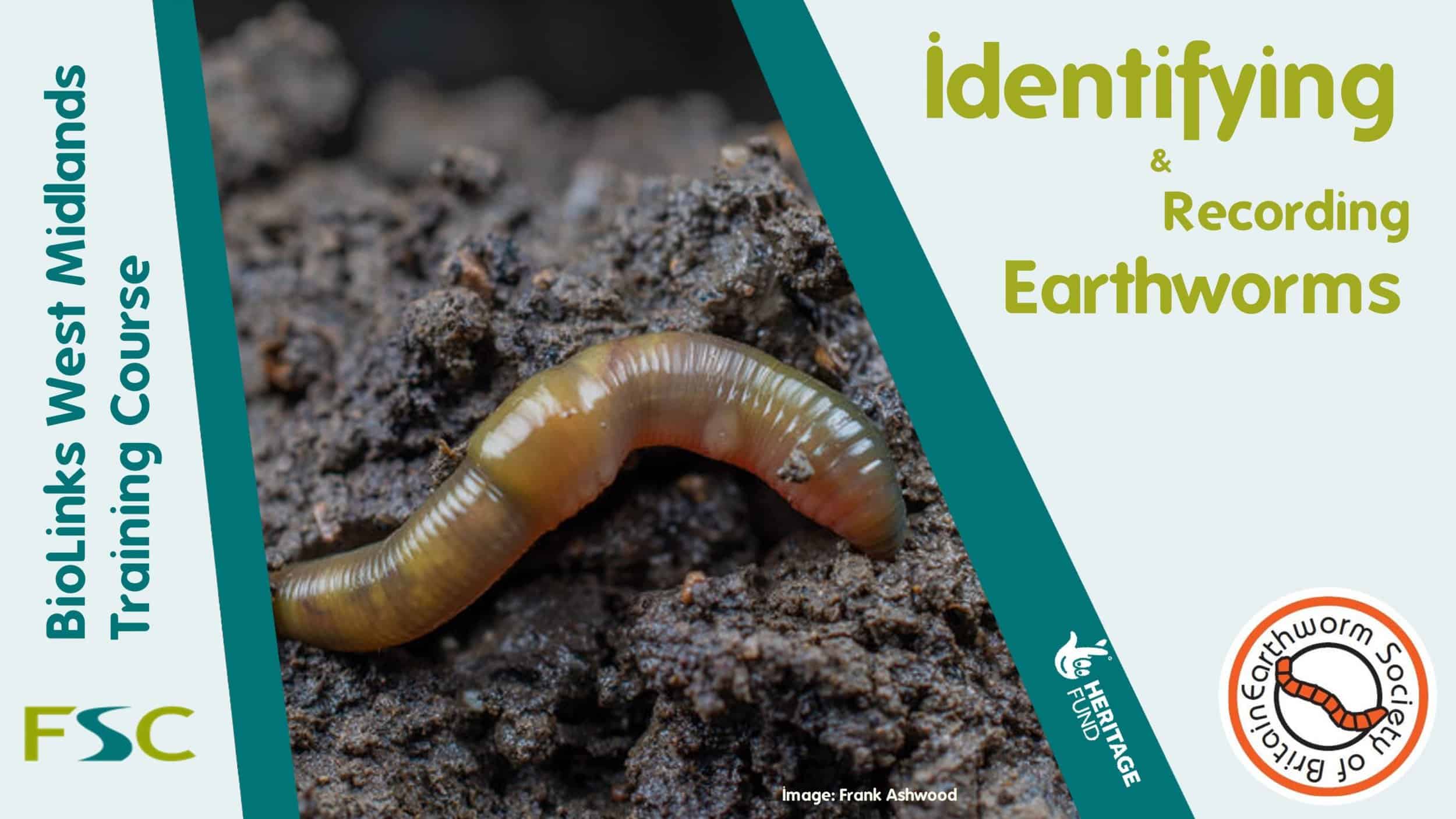 Identifying and Recording Earthworms – Field Studies Council