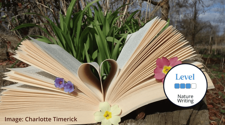 Enhance Your Nature Writing: Exploration and Analysis - Online – Field ...