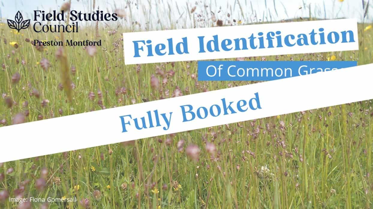 Identifying Grasses, Sedges and Rushes – Field Studies Council