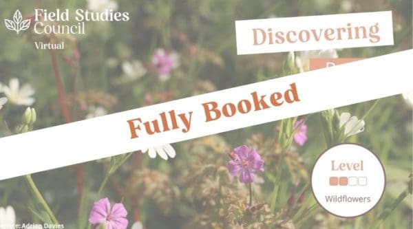 Natural History Courses – Field Studies Council