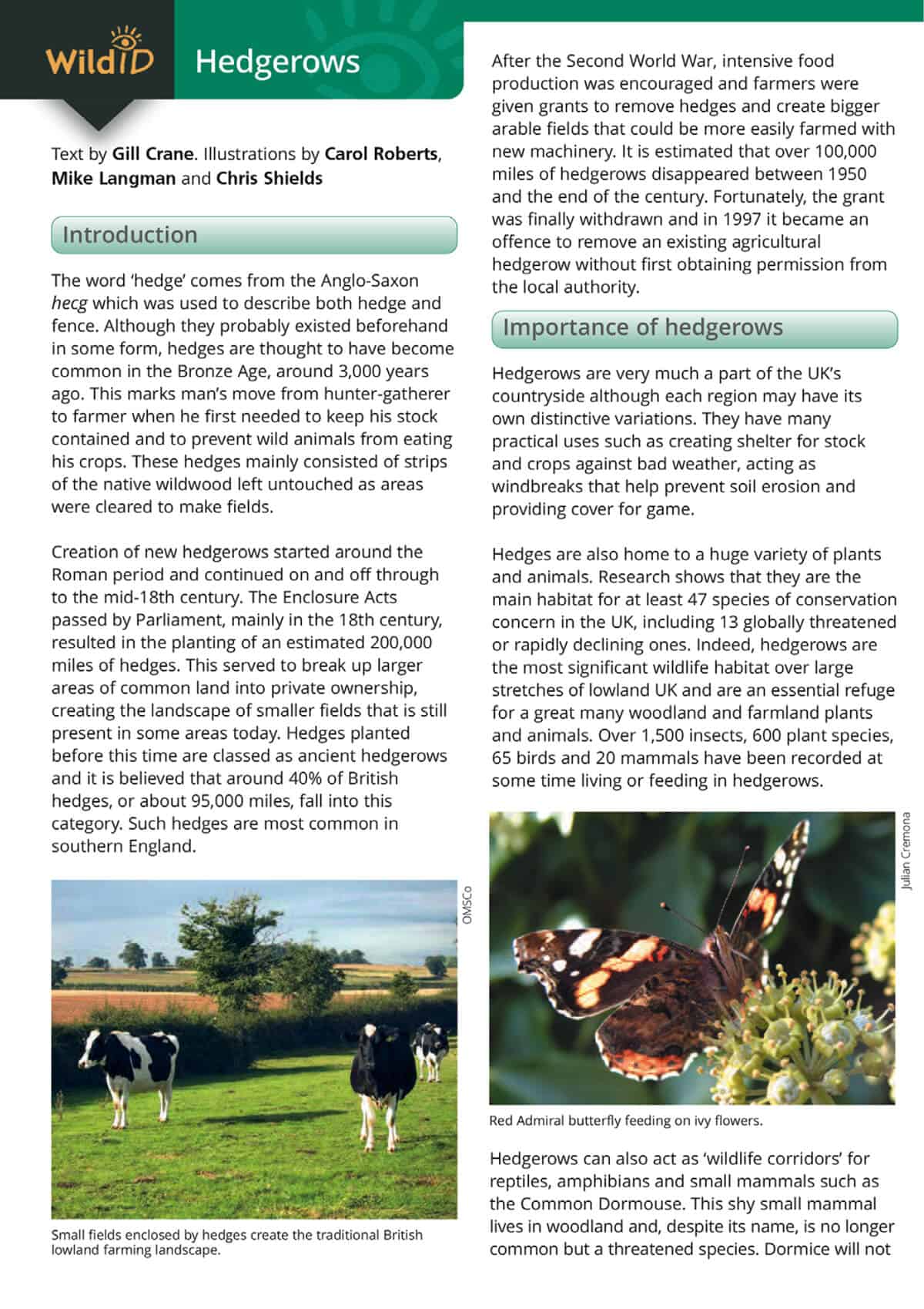 Hedgerows guide – Field Studies Council
