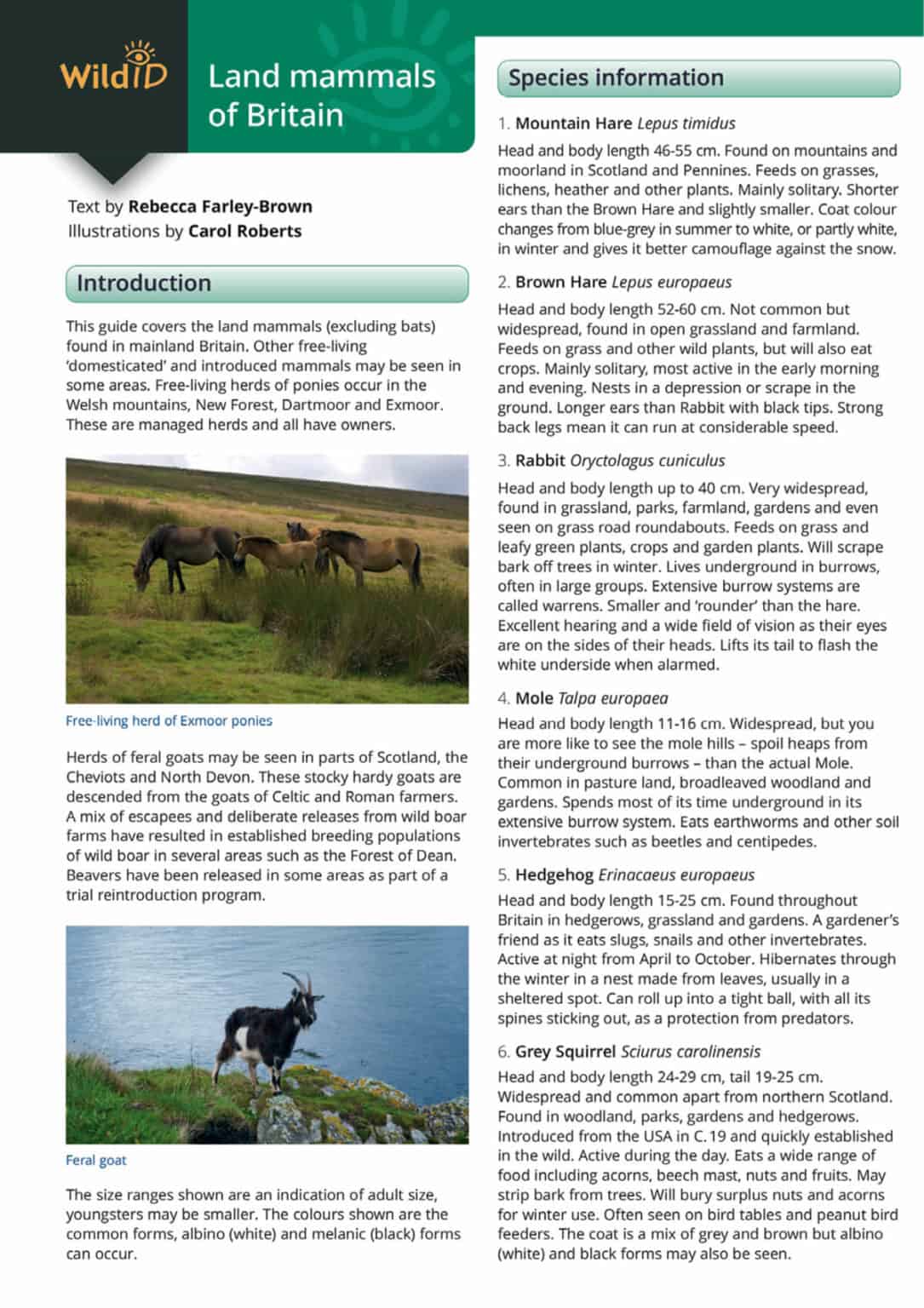 Land mammals guide – Field Studies Council