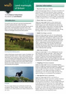 Land mammals guide – Field Studies Council