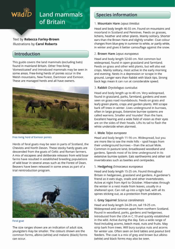 Land mammals guide – Field Studies Council