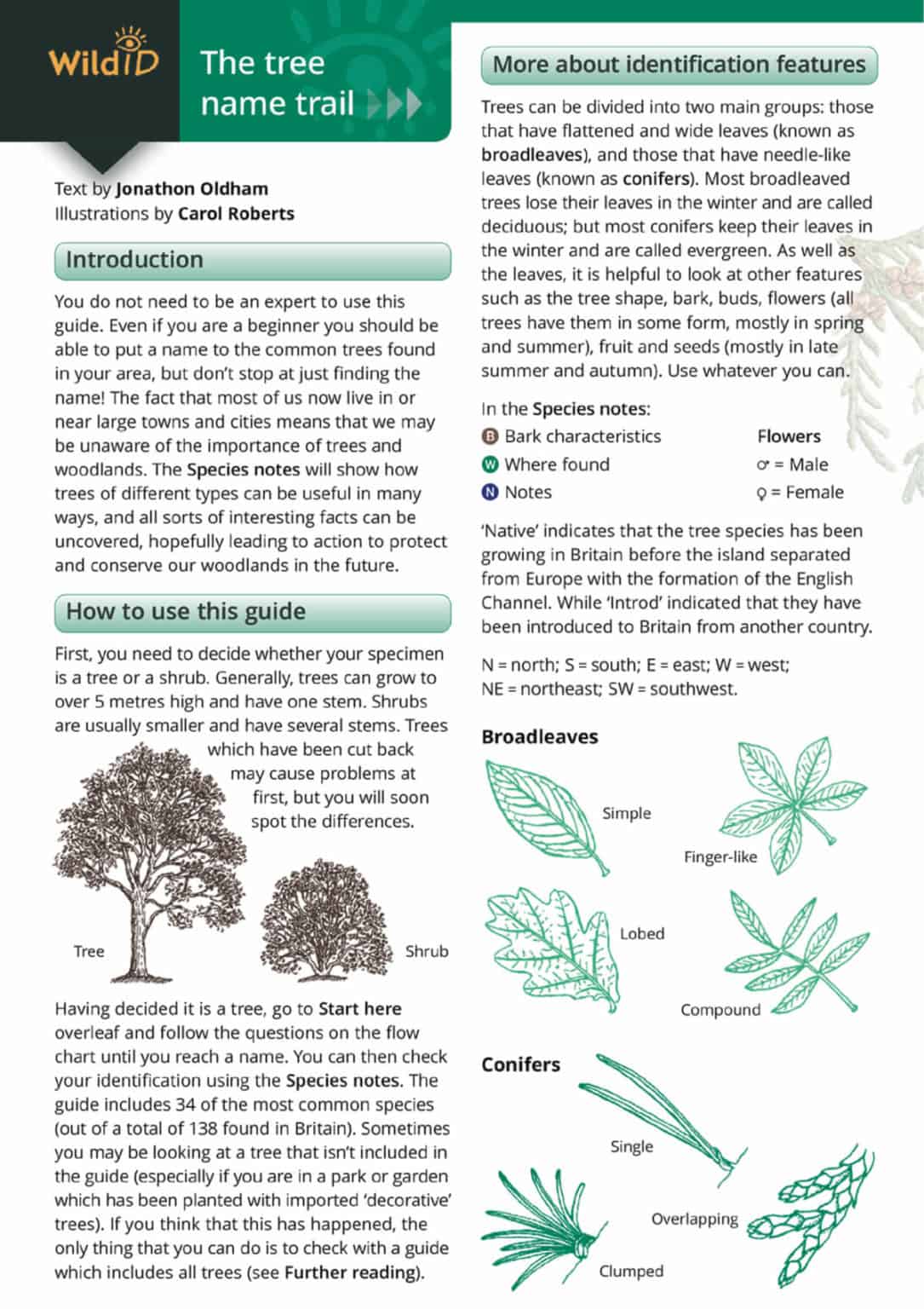 Trees Guide for Great Britain & Ireland | FSC Tree Name Trail