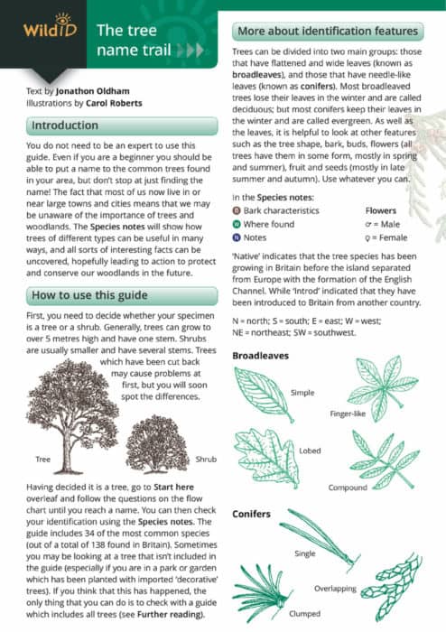 Trees Guide for Great Britain & Ireland | FSC Tree Name Trail