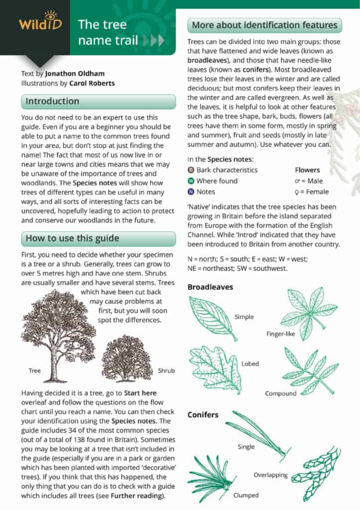 Trees Guide for Great Britain & Ireland | FSC Tree Name Trail