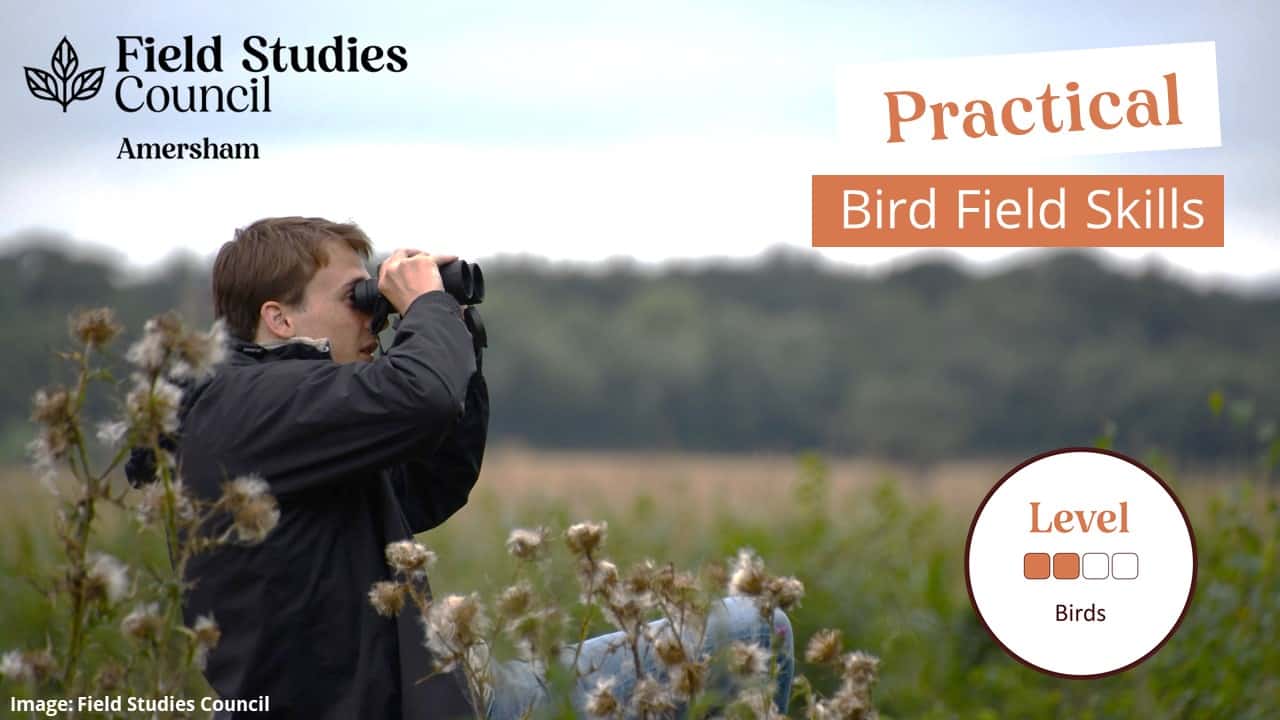 Practical Bird Field Skills – Field Studies Council