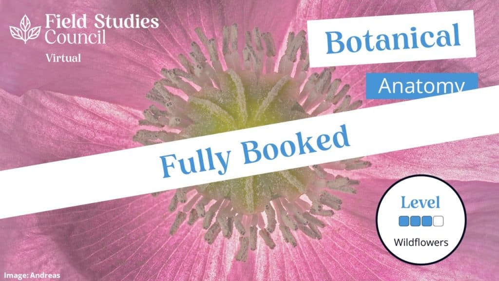 Natural History Courses Field Studies Council