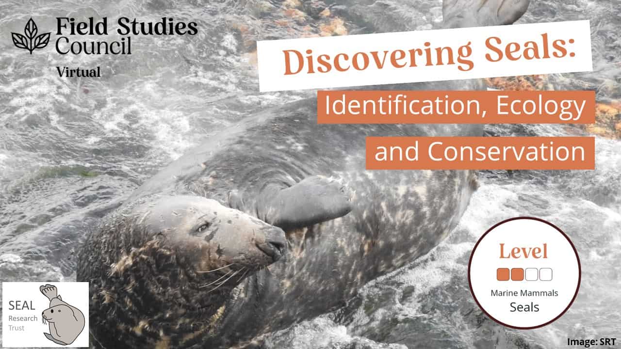 Online Courses – Field Studies Council