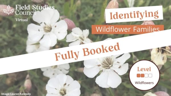 Online Courses – Field Studies Council