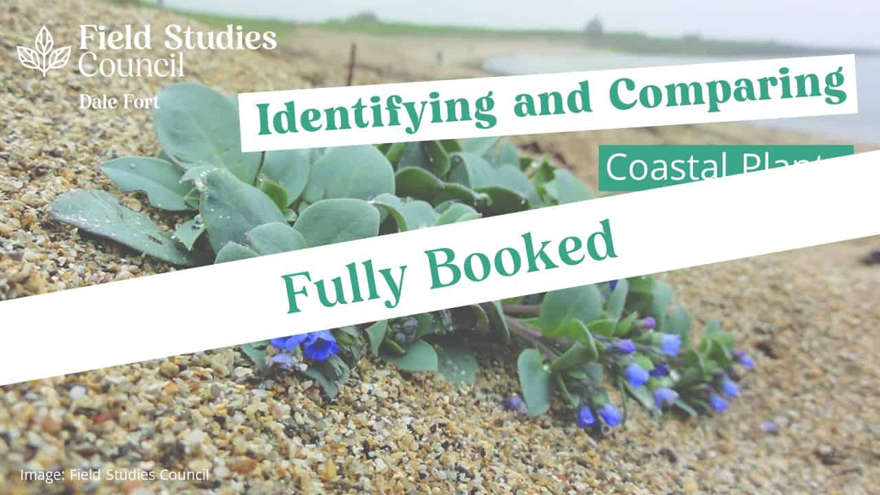 Identifying and Comparing Coastal Plants – Field Studies Council