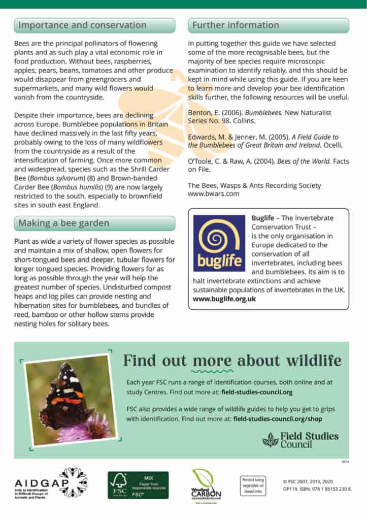 British Bees Identification Guide | FSC Bee Guide for Great Britain & N.I British Bees Identification Guide | FSC Bee Guide for Great Britain & N.I