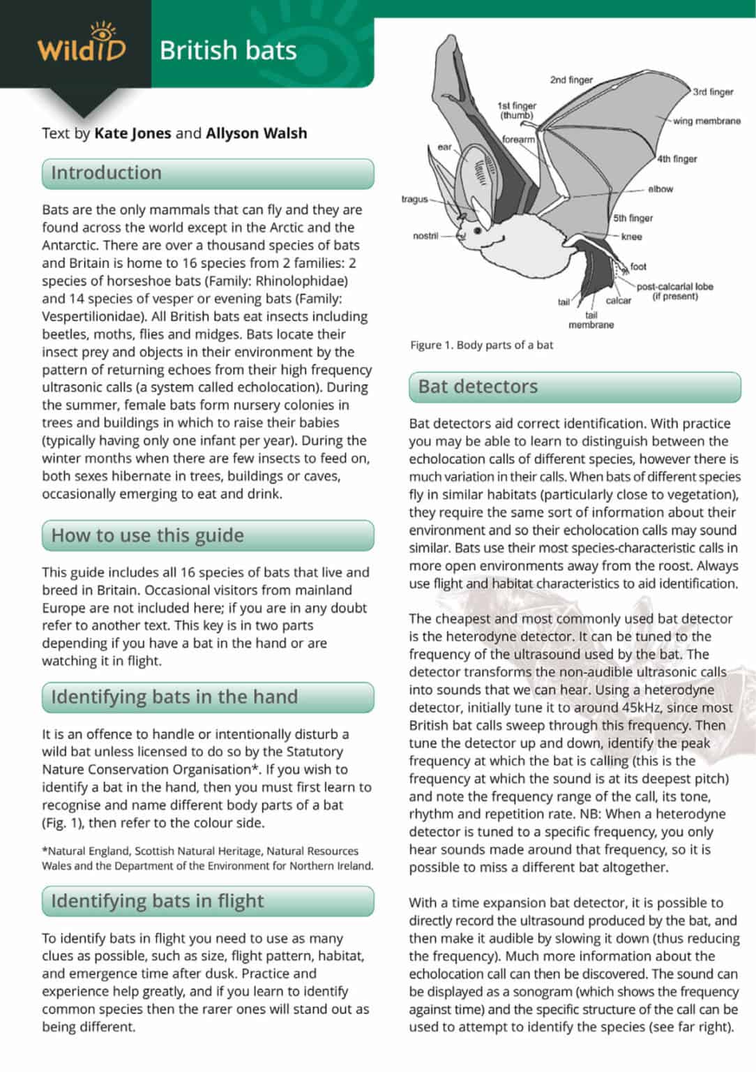 Bats guide – Field Studies Council