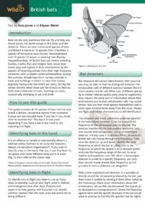 Bats guide – Field Studies Council