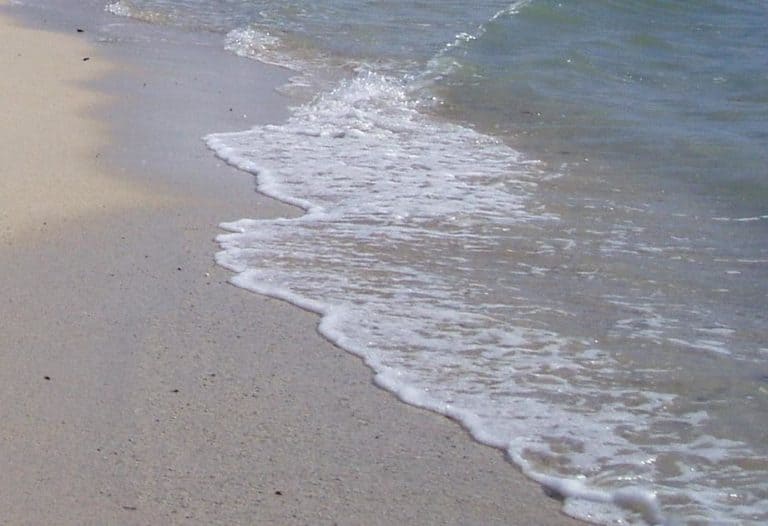 Method for High Energy Coasts – Field Studies Council