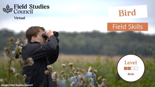 Online Courses – Field Studies Council