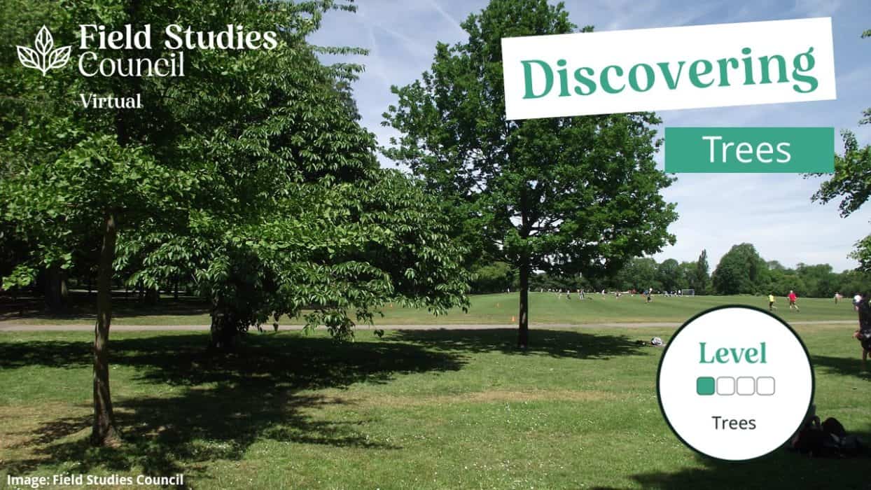 Online Courses – Field Studies Council