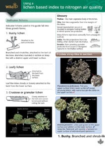 Churchyard lichens guide – Field Studies Council