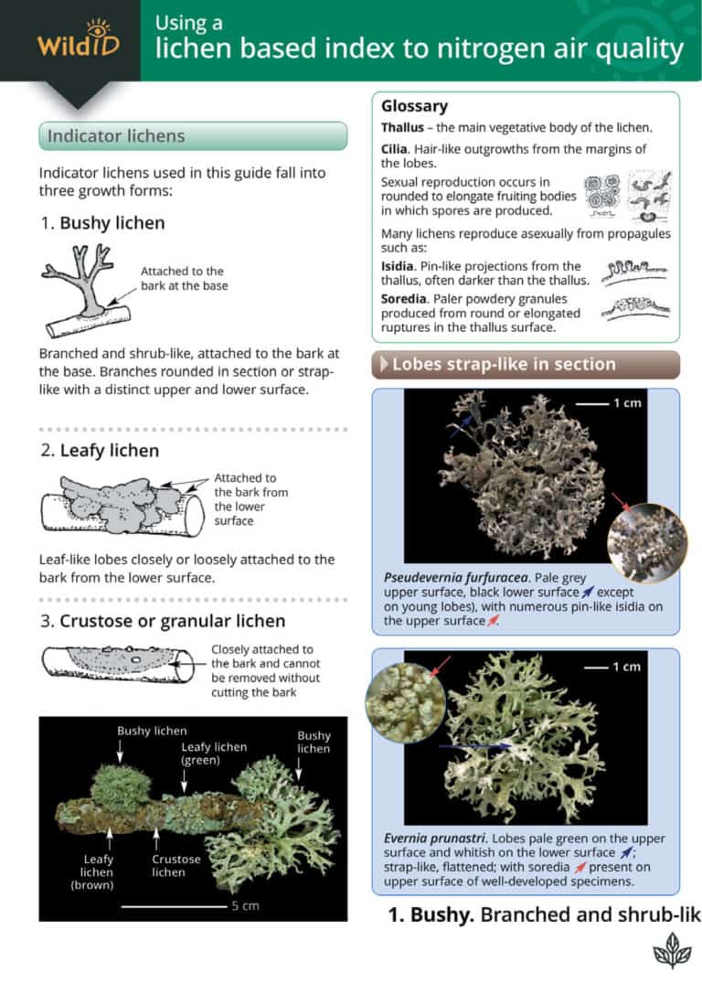 Lichens of heaths and moors guide – Field Studies Council
