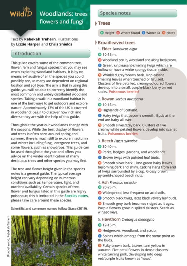 Woodland trees, flowers & fungi – Field Studies Council