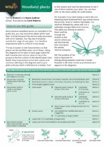 Woodland plants guide – Field Studies Council