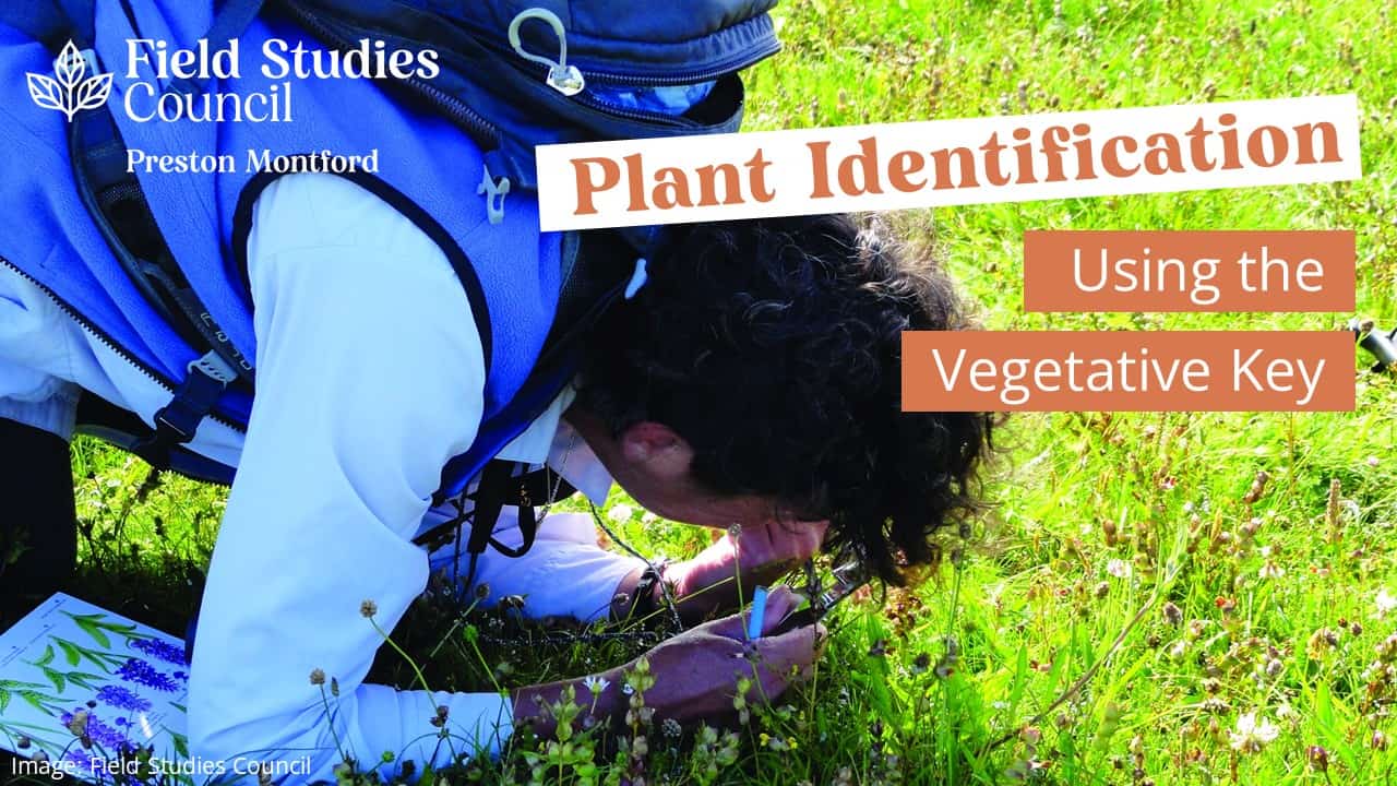 Plant Identification Using the Vegetative Key – Field Studies Council