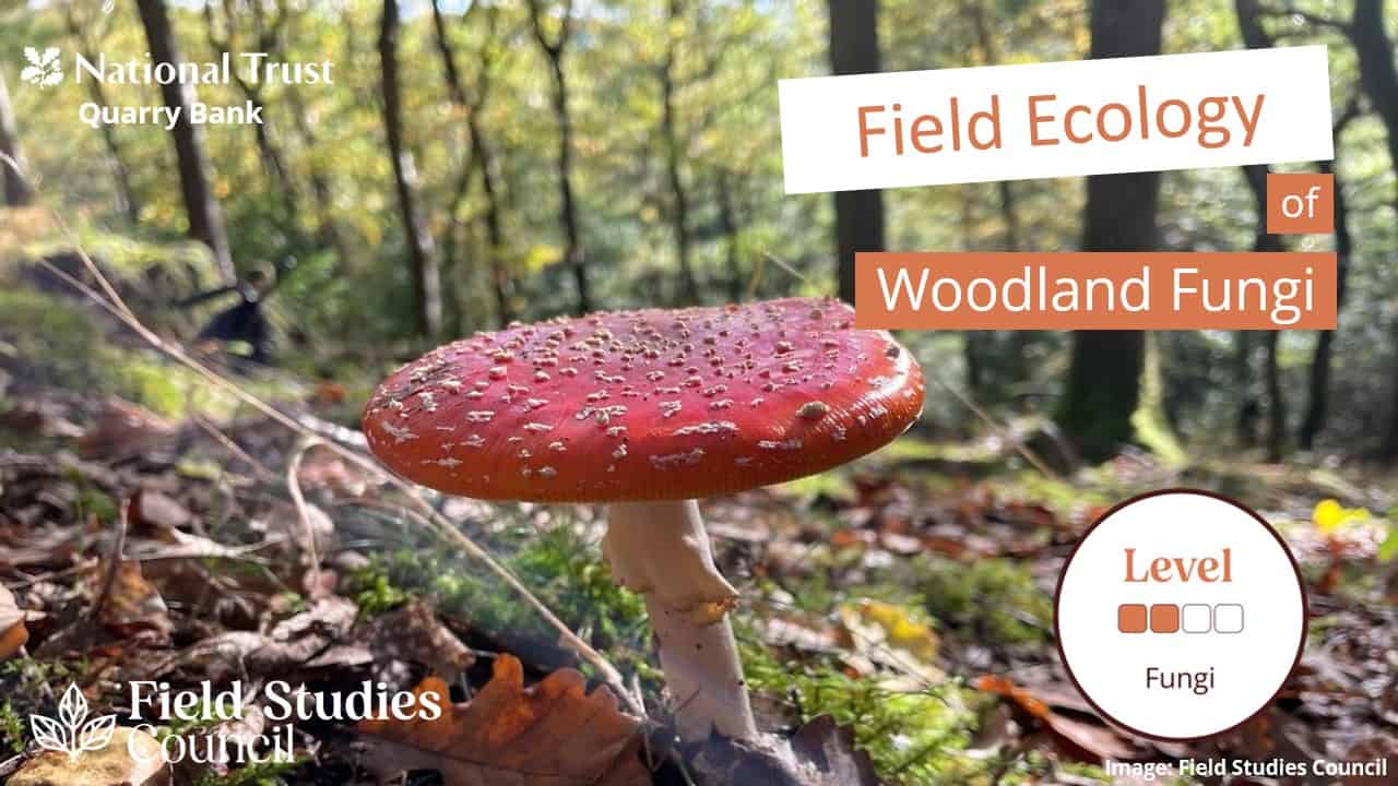 Field Ecology of Woodland Fungi – Field Studies Council