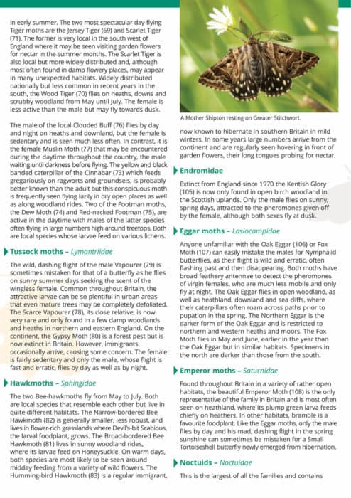 British Day Flying Moths Identification Guide | FSC Moths Guide