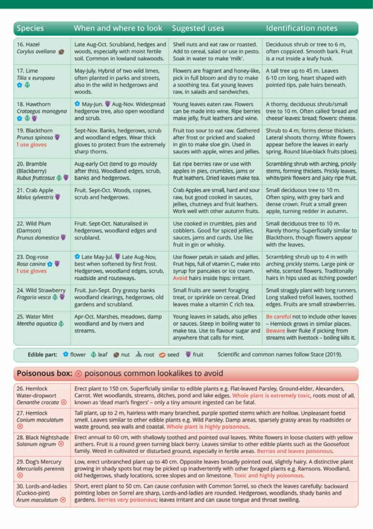 Foraging guide – Field Studies Council