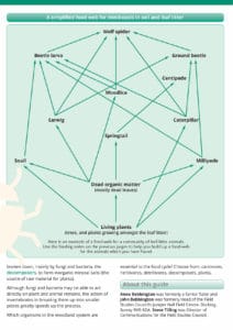 Woodland name trail – Field Studies Council