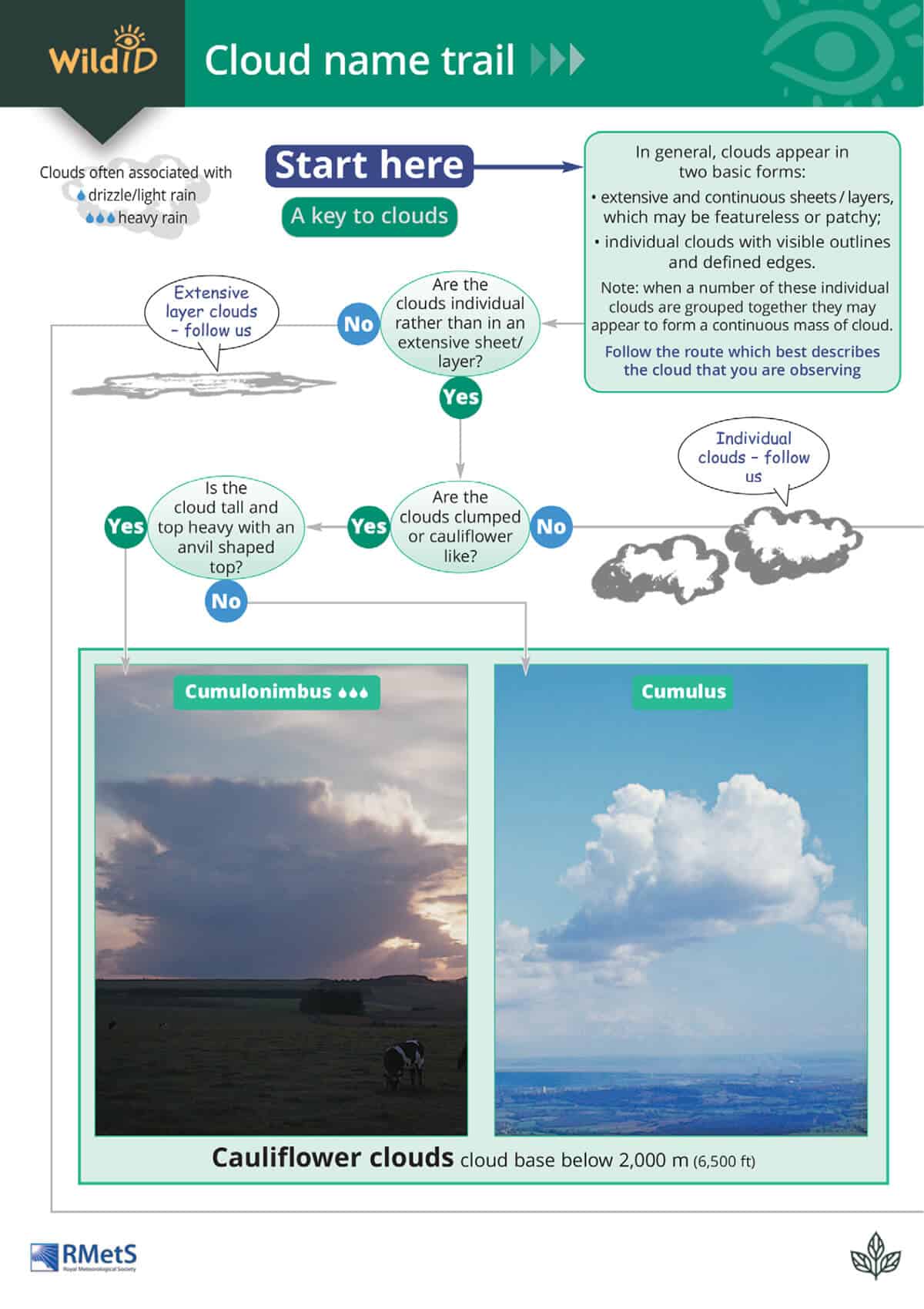 Cloud name trail – Field Studies Council